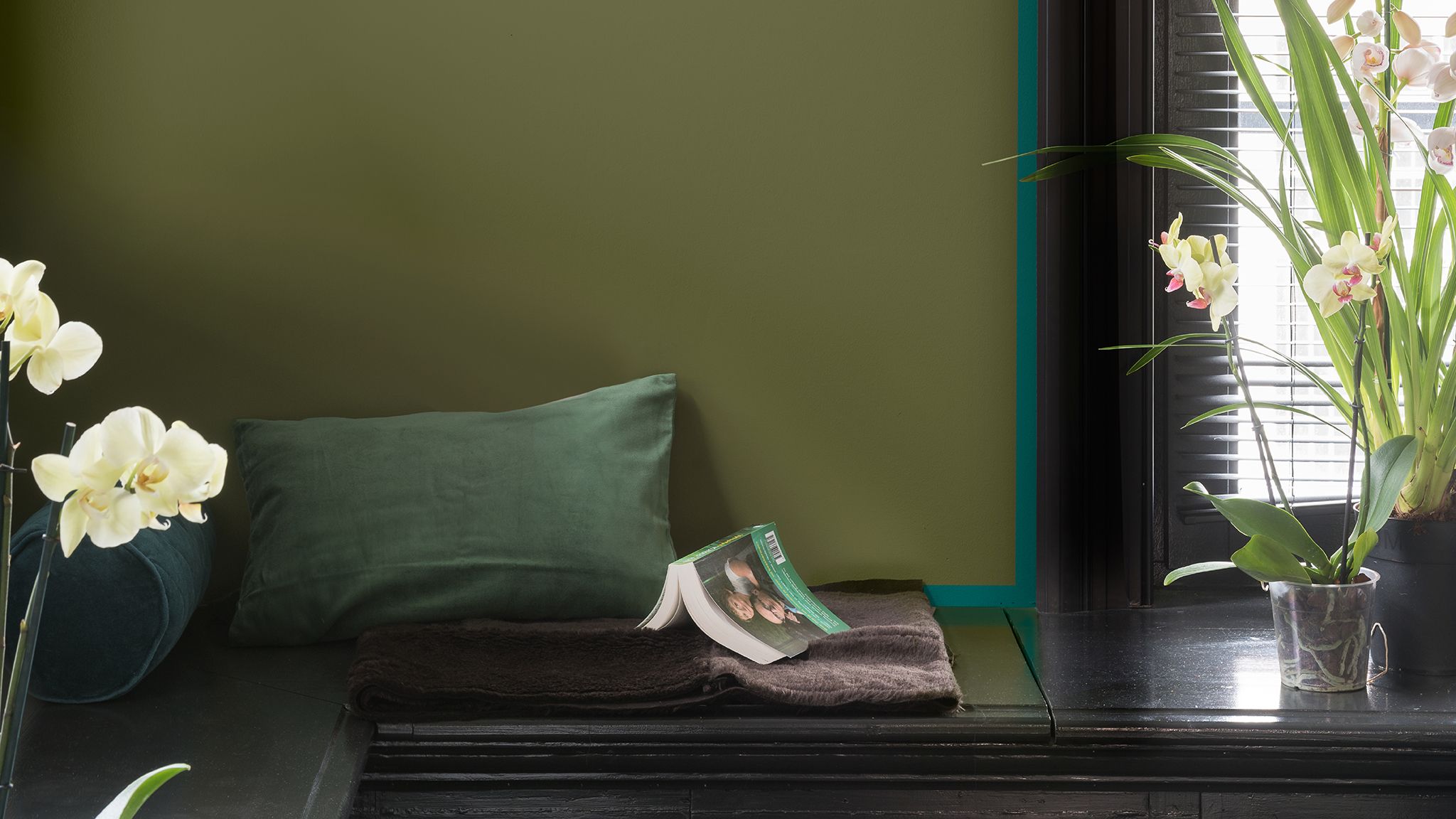 Durf buiten de lijntjes te kleuren: nieuwe manieren om de natuur in ...